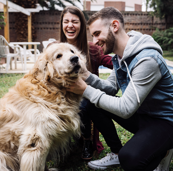 SuperVet | Concierge - Mobile Vet Clinic in Houston